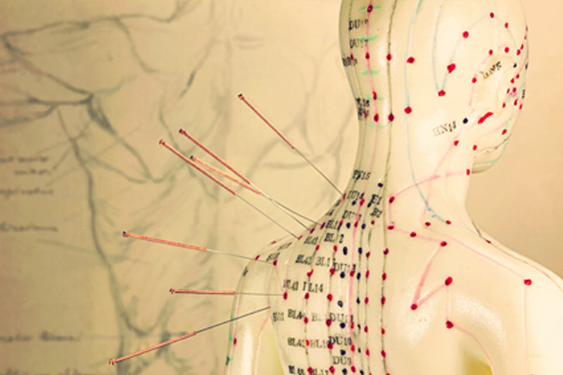 Dr. Che - TCM & Acupuncture Centre